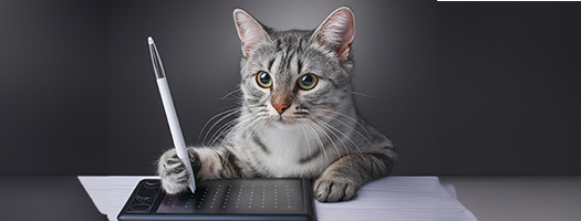 Davide Barranca, Photo Retoucher